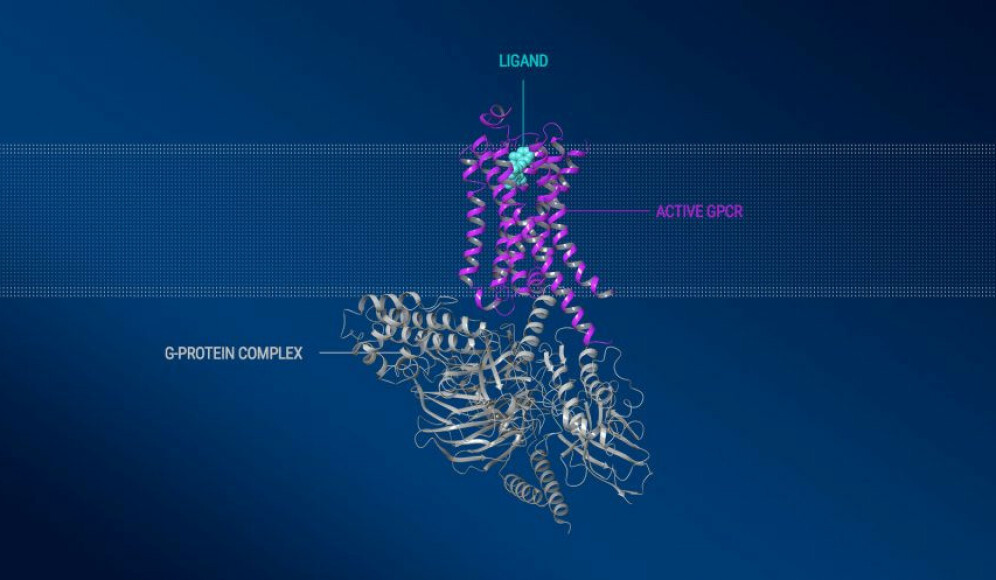Confo Therapeutics Announces € 60 million Series B Financing to advance ...